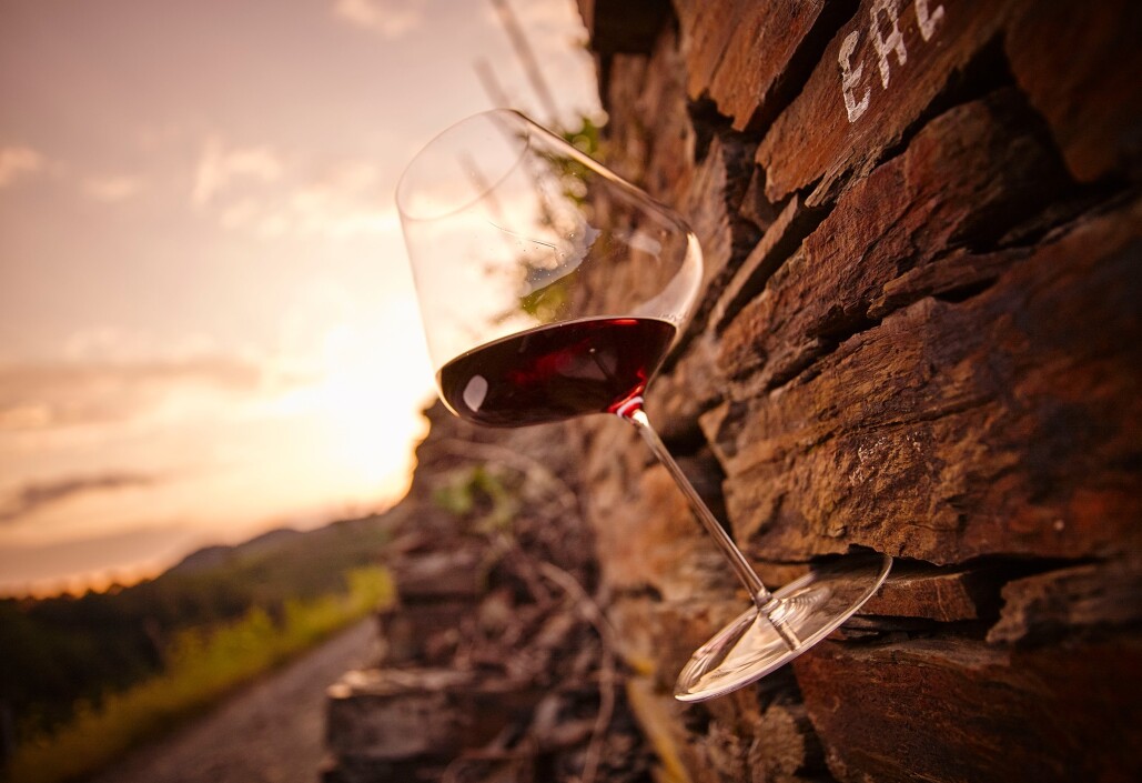 10 best wine tours & tastings in Germany 2023 | Winetourism.com
