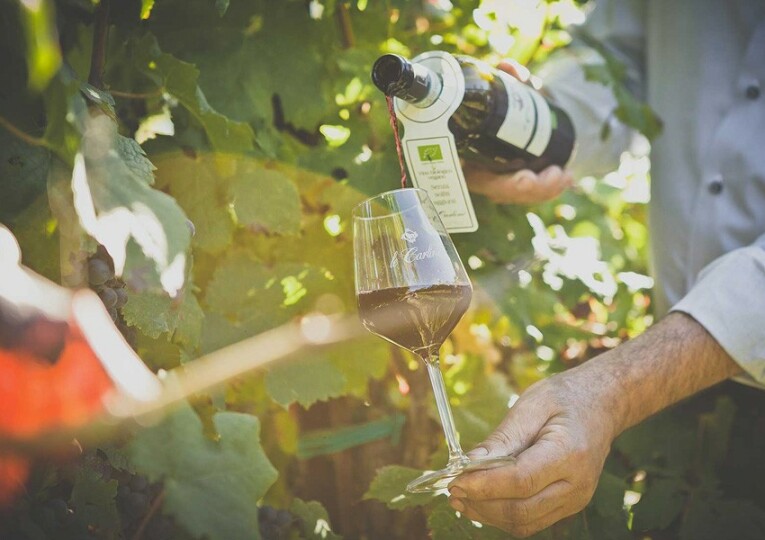 Prosecco - Wine Region in Veneto, Italy | Winetourism.com