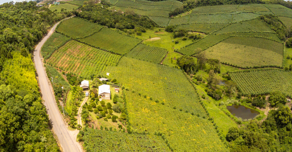 Your 2025 guide To Monte Belo wine region | Winetourism.com