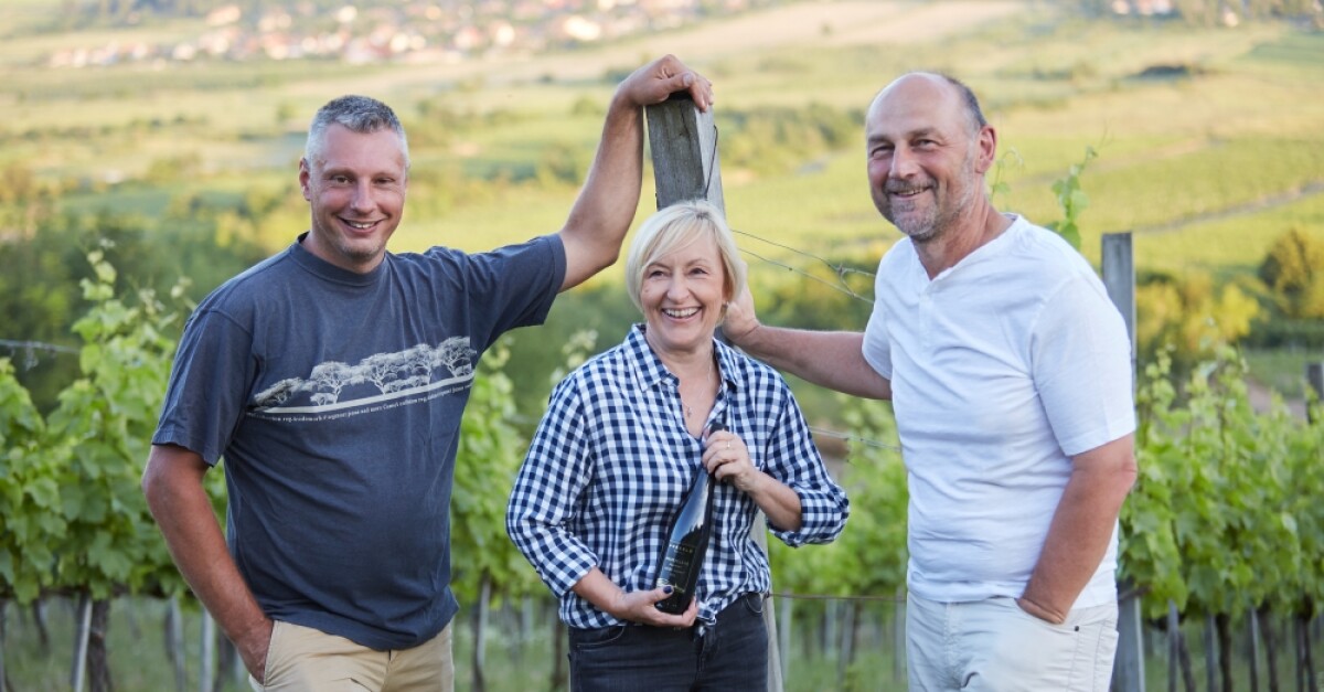 Wine Tasting & Tour at PrÃ©selÅ‘ Winery in Tokaj, Hungary | Winetourism.com