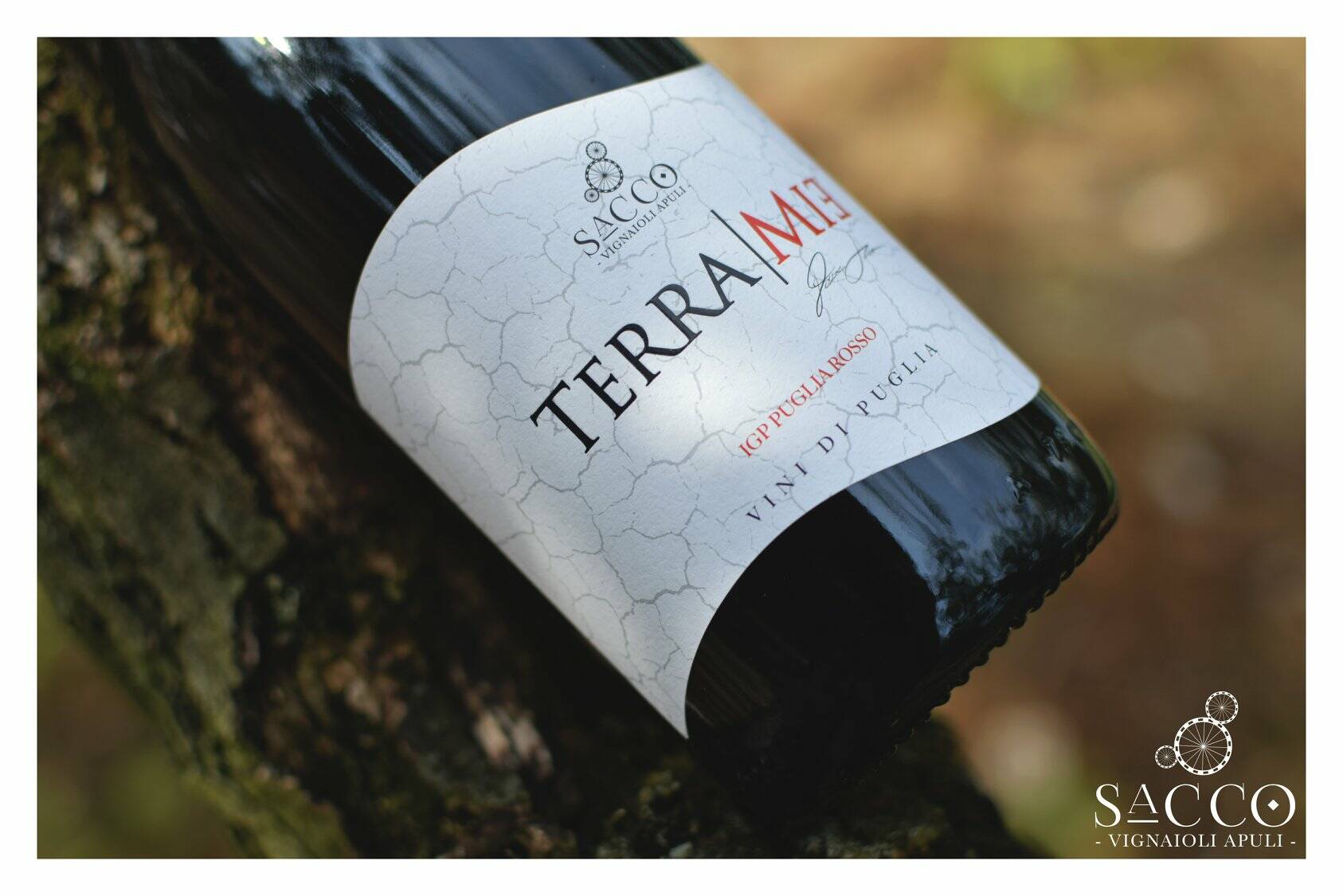 Sacco Vignaioli Apuli - Winery in Puglia| Winetourism.com