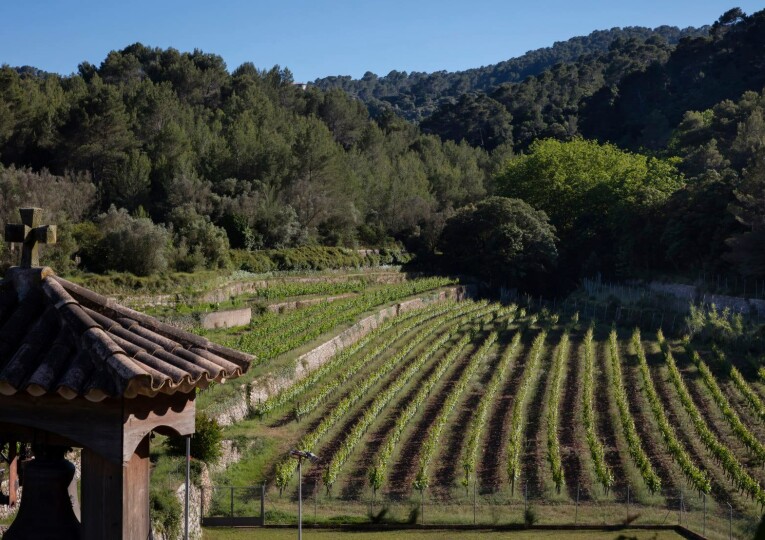 10 best wineries in Mallorca to visit in 2022 | Winetourism.com