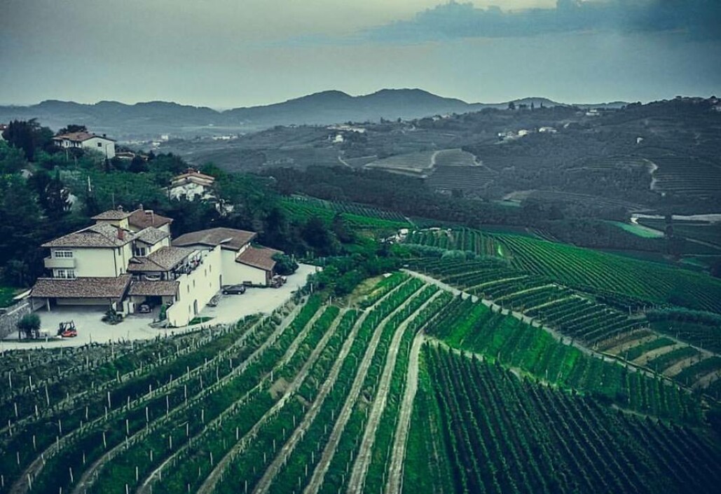 Your 2023 guide to Primorska region | Winetourism.com