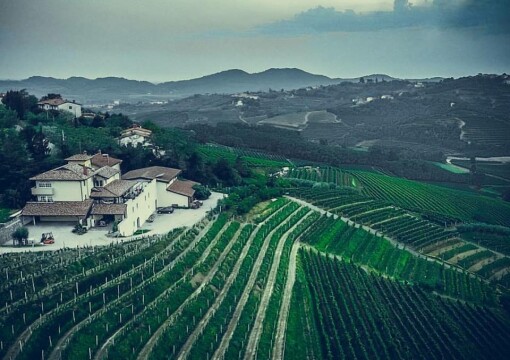 Primorska Wine Region, Slovenia | Winetourism.com