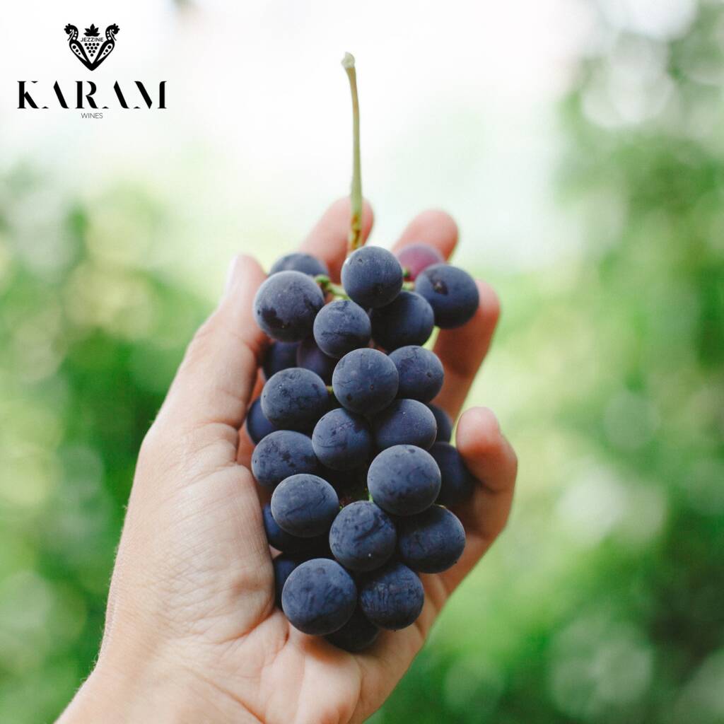 Level 2 Wine Tasting Experience at Karam Wines | Winetourism.com