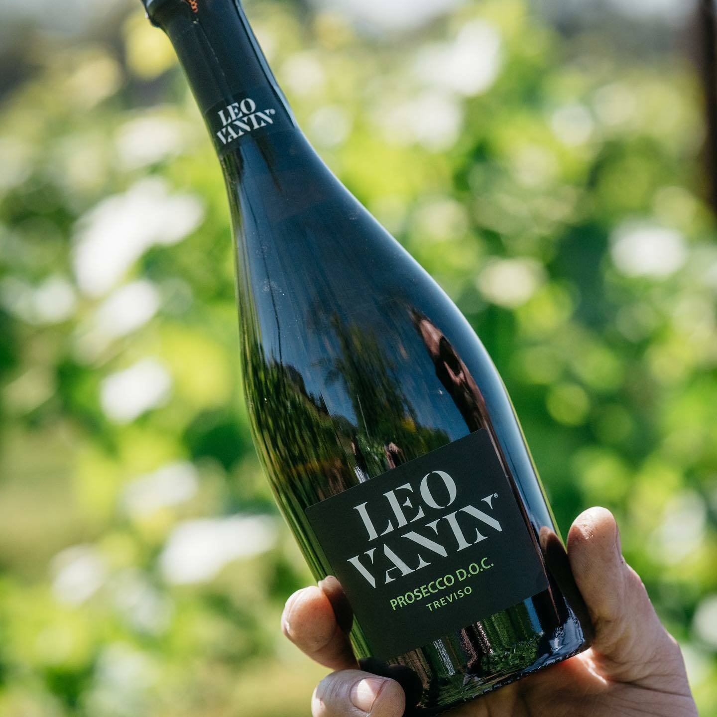 Leo Vanin - Wine Tasting and Tour| Winetourism.com