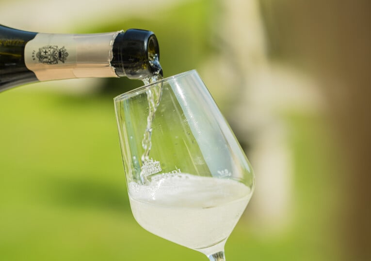 Prosecco - Wine Region in Veneto, Italy | Winetourism.com