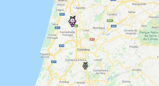 Your 2023 guide to Bairrada wine region | Winetourism.com