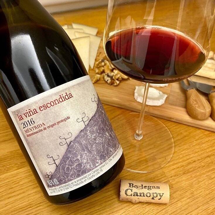 Bodegas Canopy - Winery near Madrid| Winetourism.com