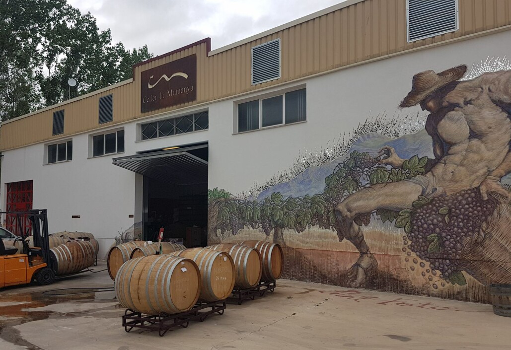 Your 2022 guide to Valencia wine region | Winetourism.com