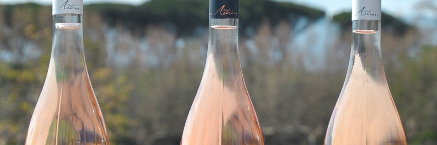 Château Astros - Guided Tour of The Estate| Winetourism.com