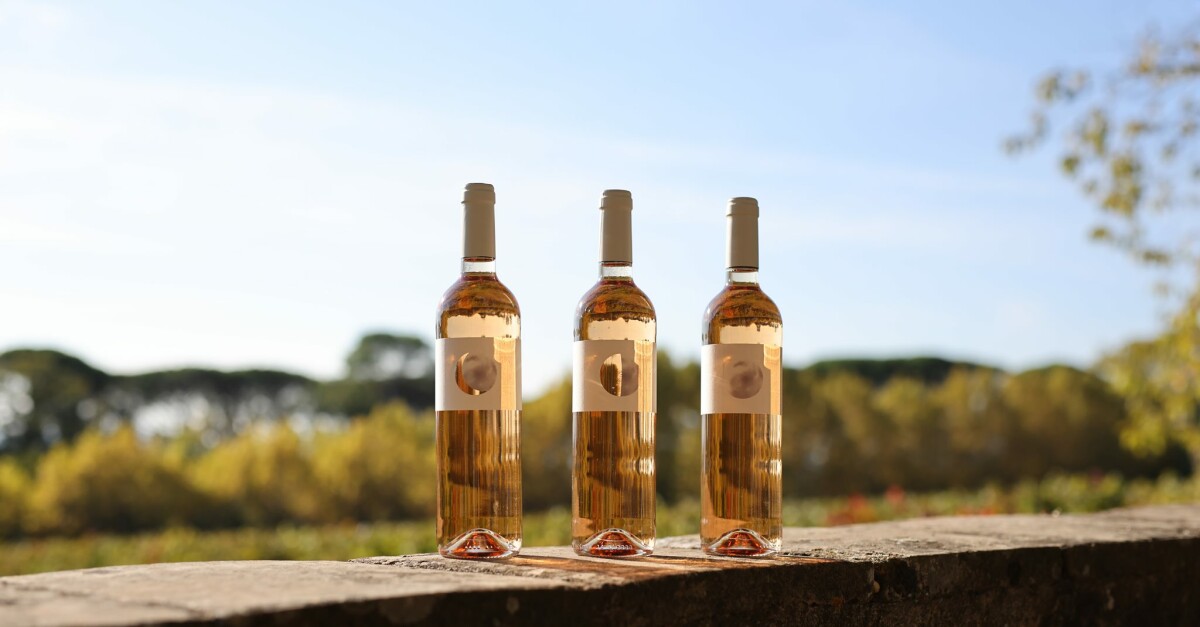 Château Astros - An Eventful Hike Around The Estate| Winetourism.com