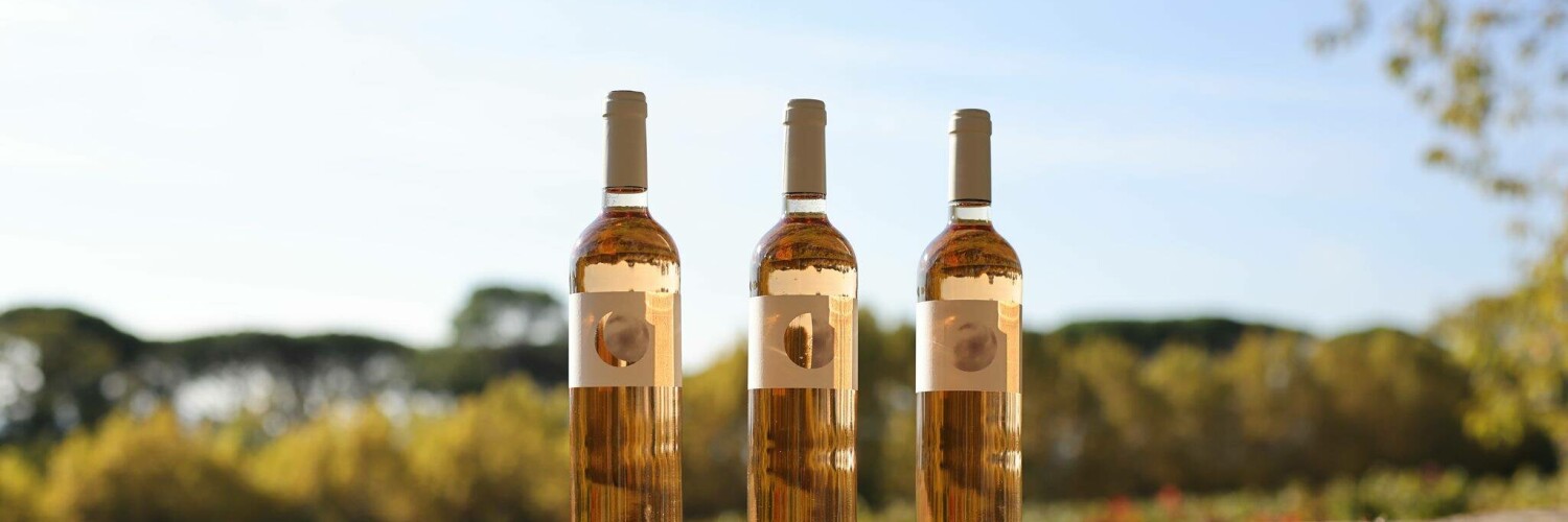 Château Astros - Winery in Provence| Winetourism.com