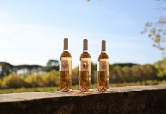 Château Astros - Winery in Provence| Winetourism.com