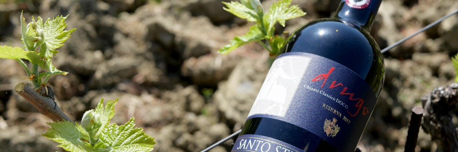 Fattoria Santo Stefano - Winery in Tuscany | Winetourism.com