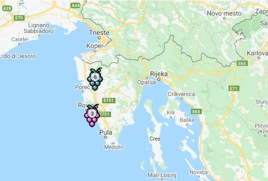 Your 2023 guide To Istria wine region | Winetourism.com