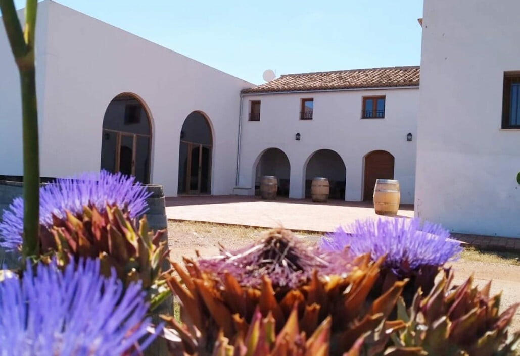 10 best wineries in Valencia to visit in 2023 | Winetourism.com