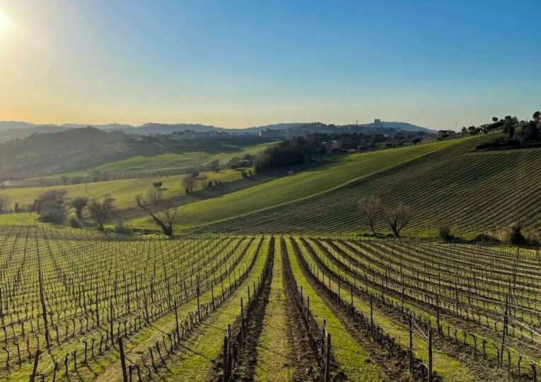 Marche Wine Region, Italy | Winetourism | Winetourism.com