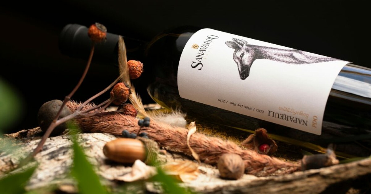 Sanavardo Estate - Popular Wine Tasting and Tour in Kakheti ...