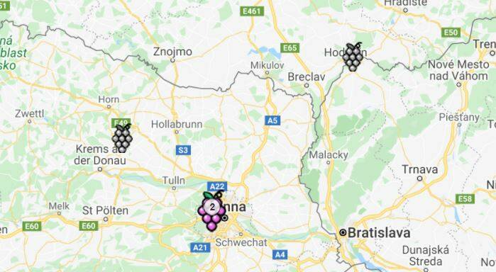 Your 2023 guide to Vienna wine region | Winetourism.com