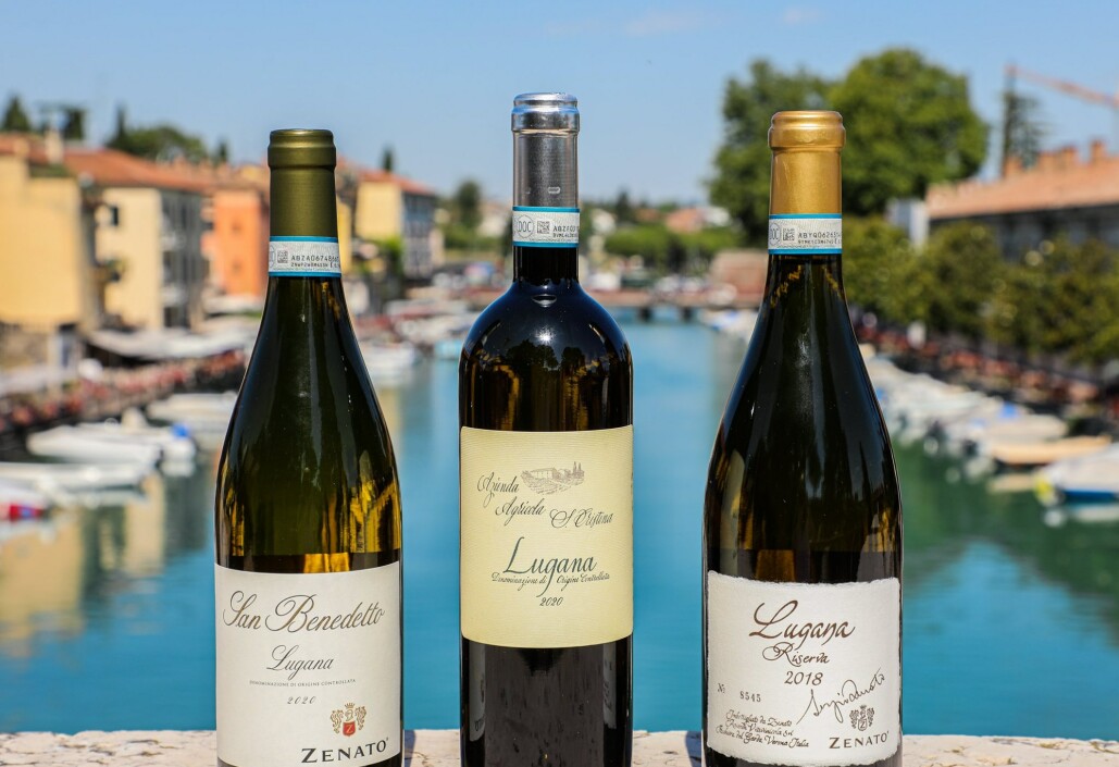 Interesting Facts about Valpolicella in Veneto region | Winetourism.com