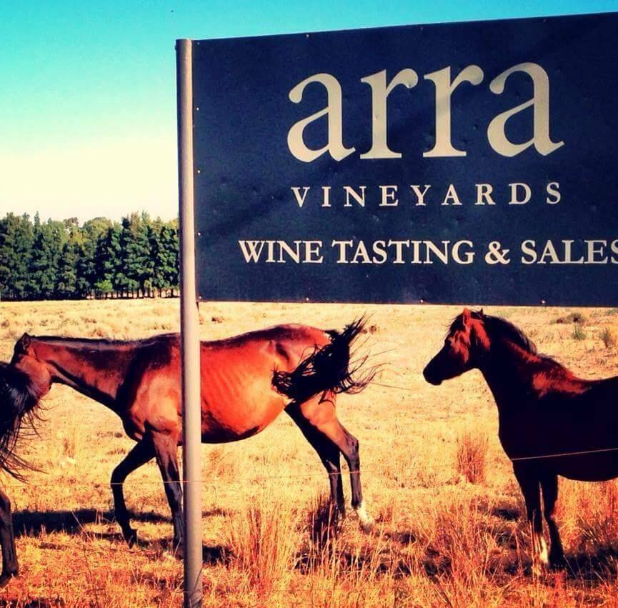 Arra Vineyards - Visiting and Tasting in Coastal Region| Winetourism.com