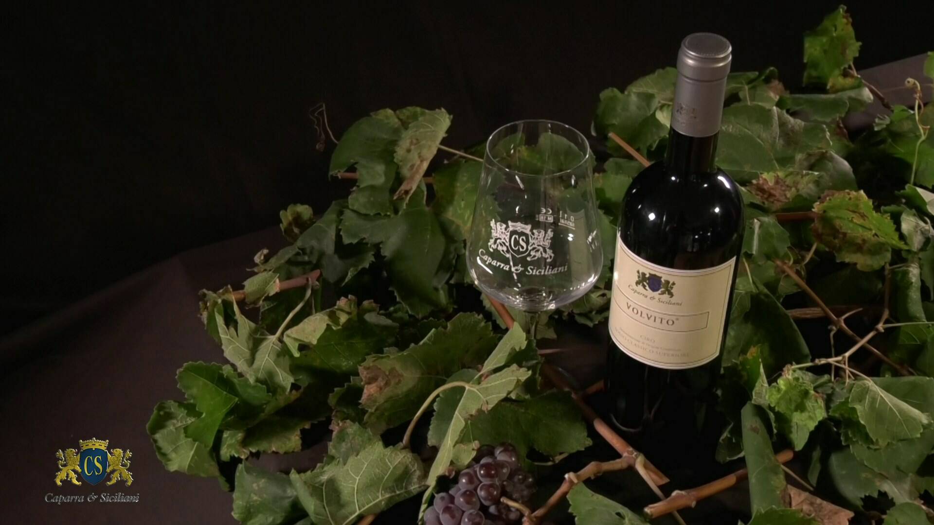 Caparra & Siciliani- Wine Tasting and Tour in Calabria| Winetourism.com
