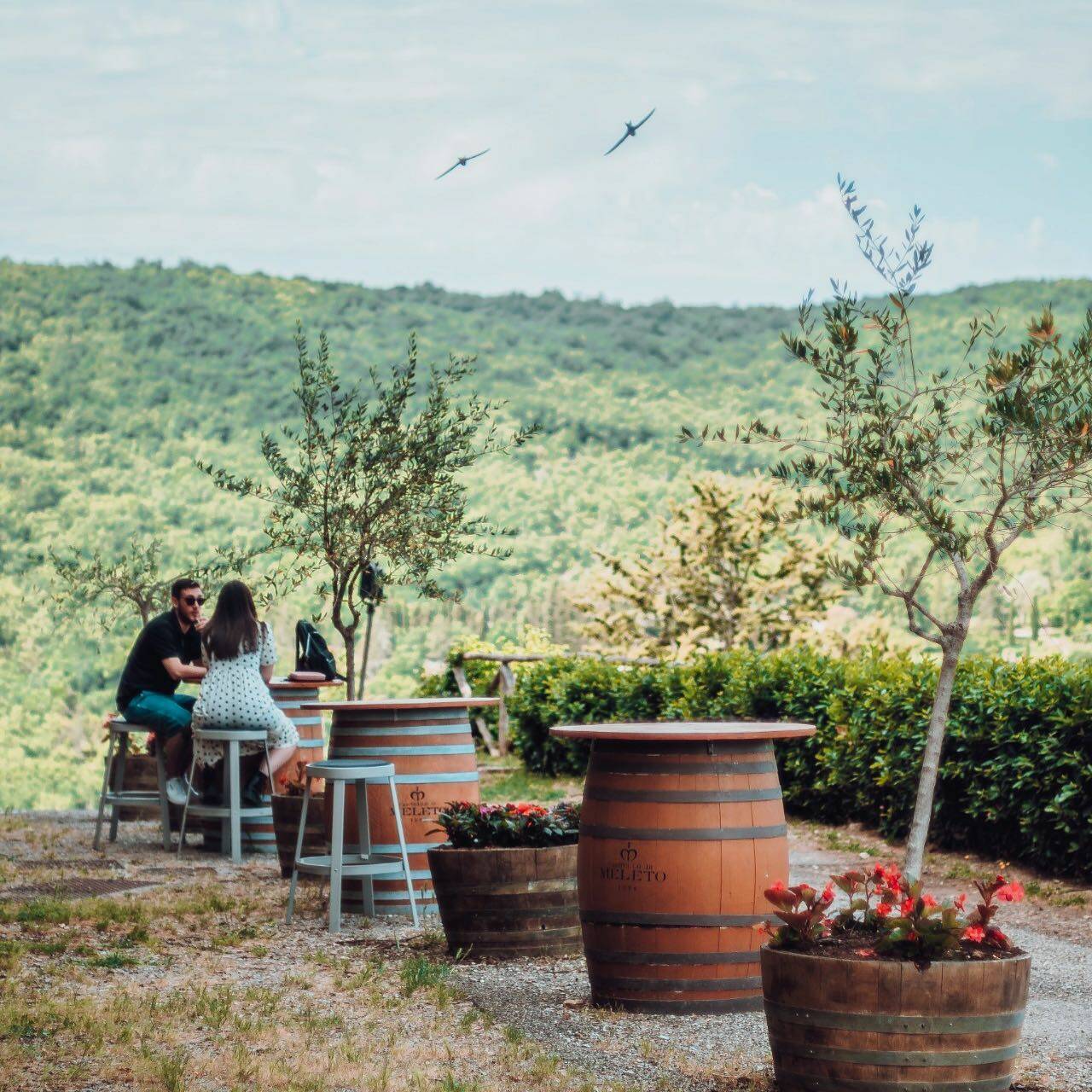 Visiting and tasting at the Catello di Meleto Winery - Visiting and ...