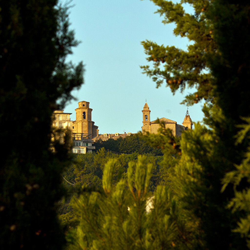 Cimarelli - Winery in Marche| Winetourism.com