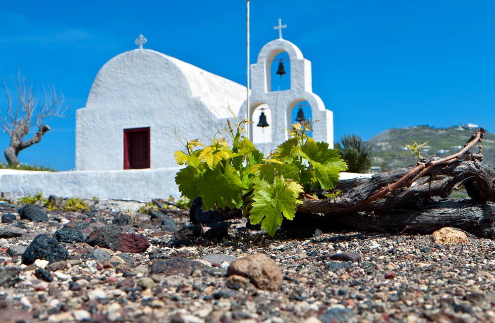 Top Wineries to Visit on Greek Islands | WineTourism.com