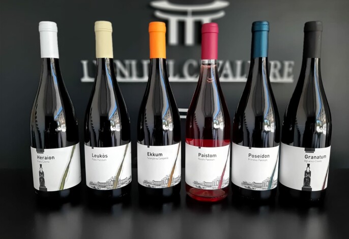 Best Wineries in Cilento, Campania | WineTourism.com