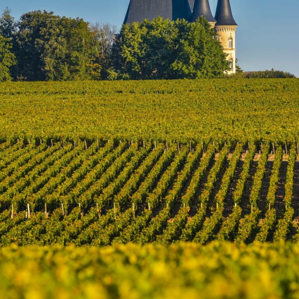 Best Chateaux to visit in Bordeaux | WineTourism.com