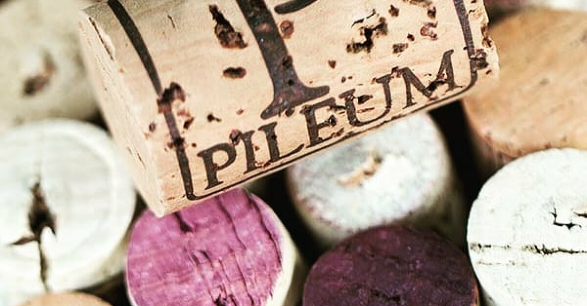 Pileum - Winery in Lazio| Winetourism.com