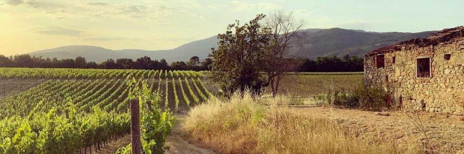Tenuta Sette Ponti - Winery in Tuscany| Winetourism.com