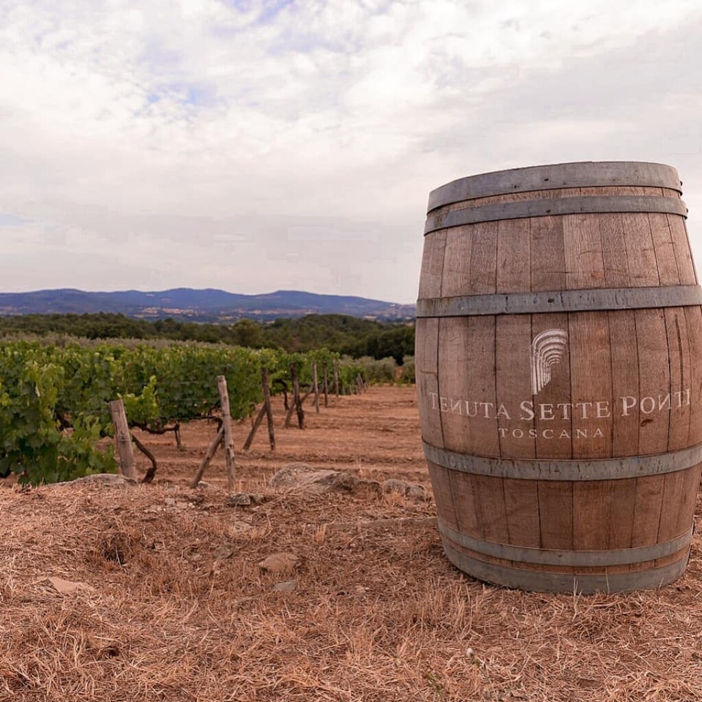 Tenuta Sette Ponti - Winery in Tuscany| Winetourism.com