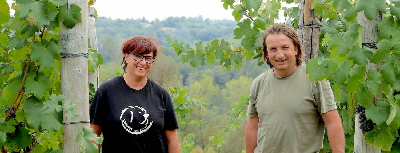 Rosso Francesco - Cherry on the Cake Wine Tasting in Castile and Leon ...