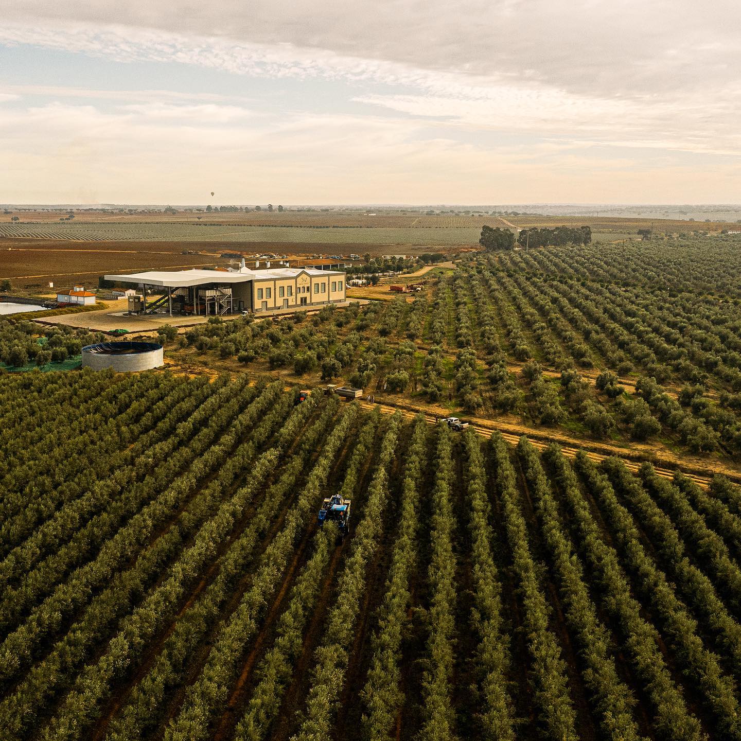 Santa Vitória - Santa Vitória Selection Tasting and Tour | Winetourism.com
