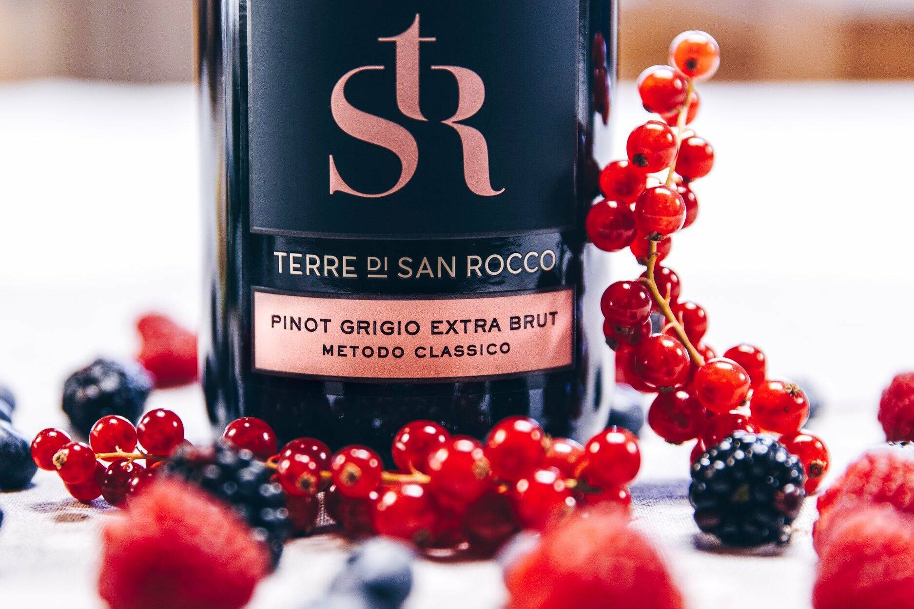Terre Di San Rocco- Visiting and Wine Tasting in Veneto| Winetourism.com
