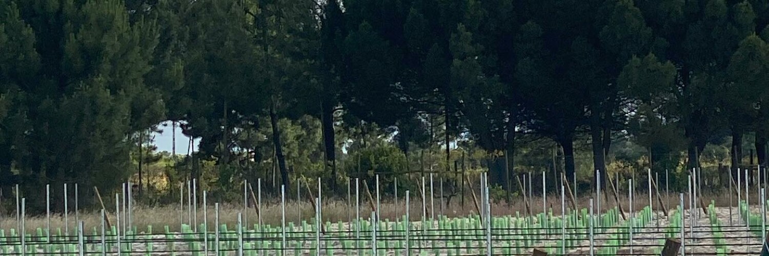 ASL Tomé - Wine tour and tasting at ASL Tomé in Douro| Winetourism.com