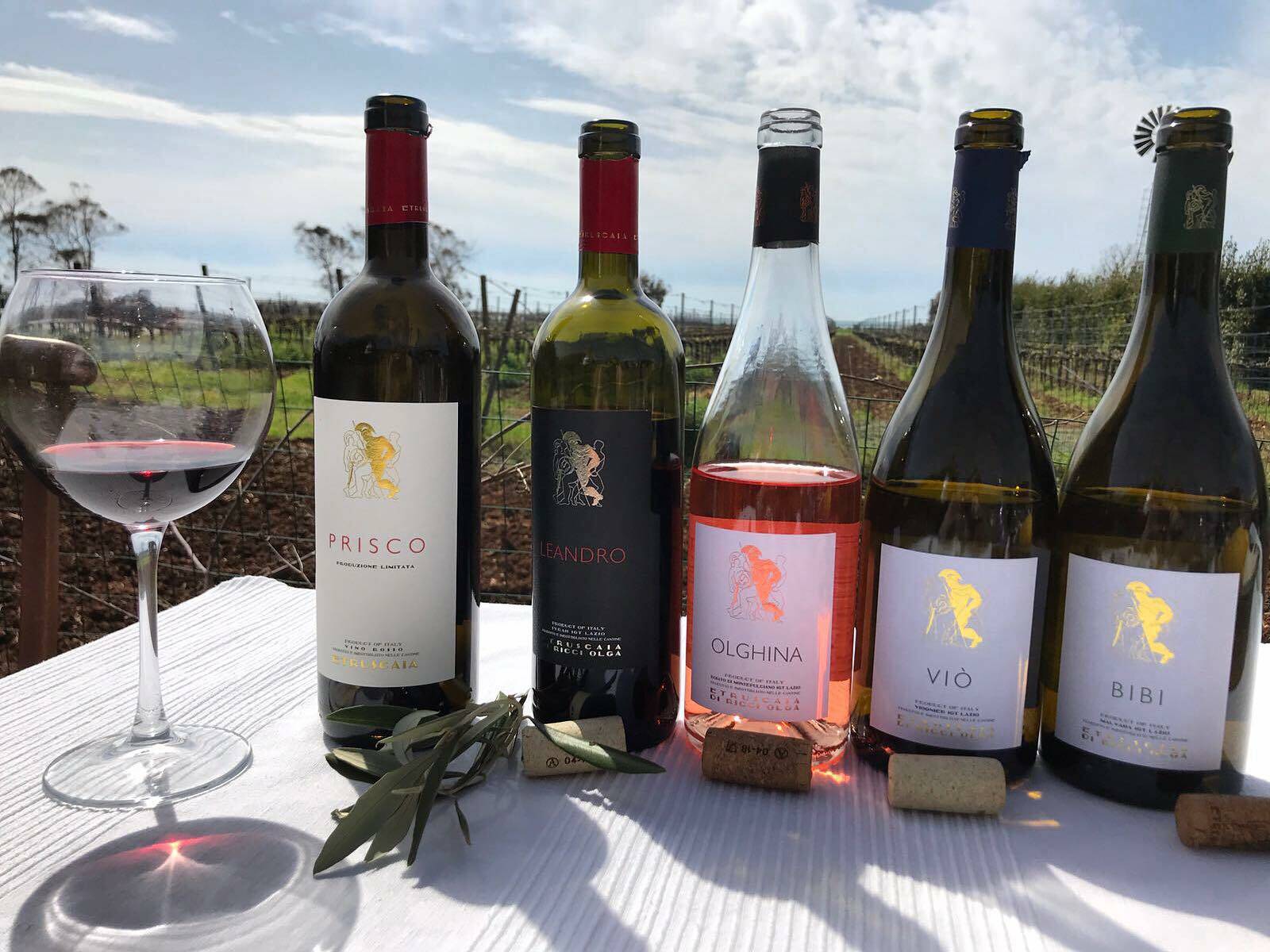 Azienda Vitivinicola Etruscaia - Wine Tasting and Tour in Lazio ...