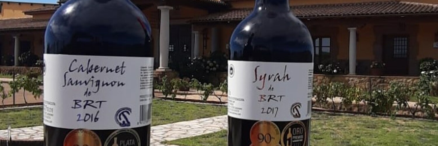 Visiting and Wine Tasting at Bodegas Ruiz Torres | Winetourism.com