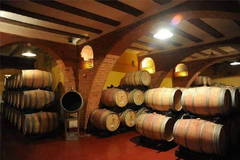Bodegas Barón d'Alba - Popular Tasting and Tour in Castile and Leon ...