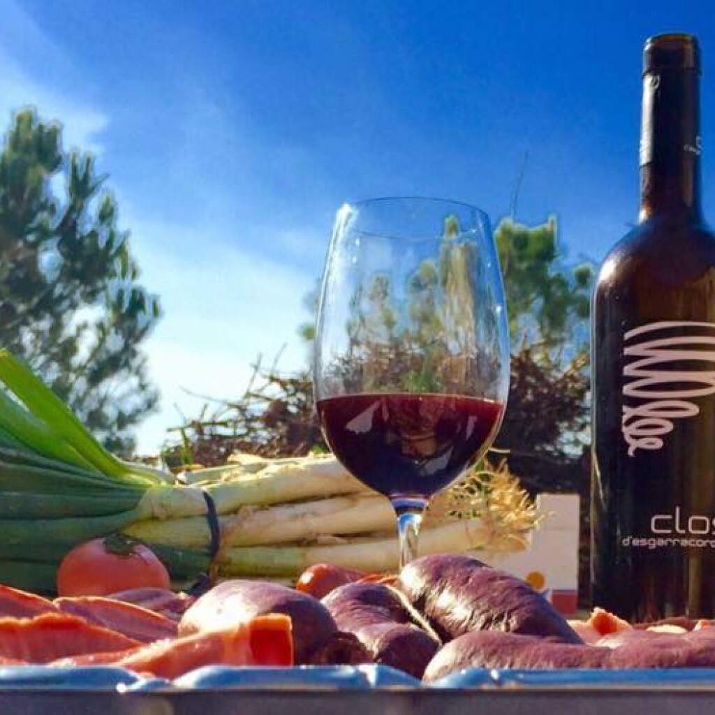 Bodegas Barón d'Alba - Popular Tasting and Tour in Castile and Leon ...