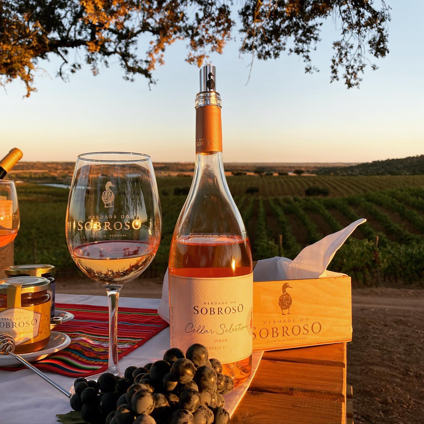 Cellar and Vineyard Tour and Tasting at Herdade Do Sobroso Wine ...