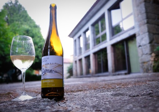 Travel Guide to Vinho Verde Wine Region | Winetourism.com
