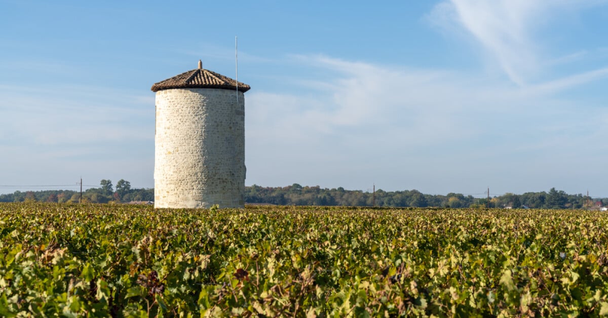 Pauillac Wines 2026 | Bordeaux's Premier Cabernet | WineTourism.com