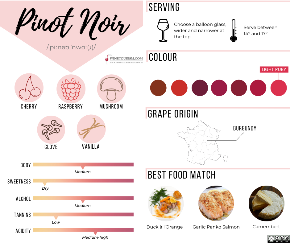 Interesting facts about Pinot Noir | WineTourism.com