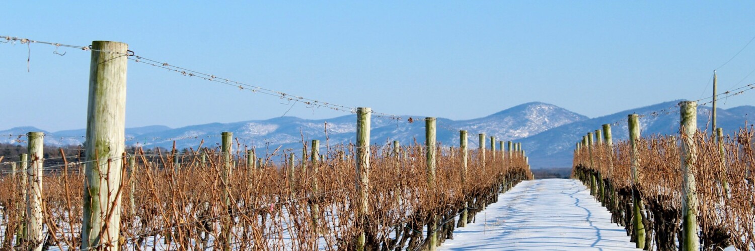 CrossKeys Vineyards- Winery in Virginia| Winetourism.com