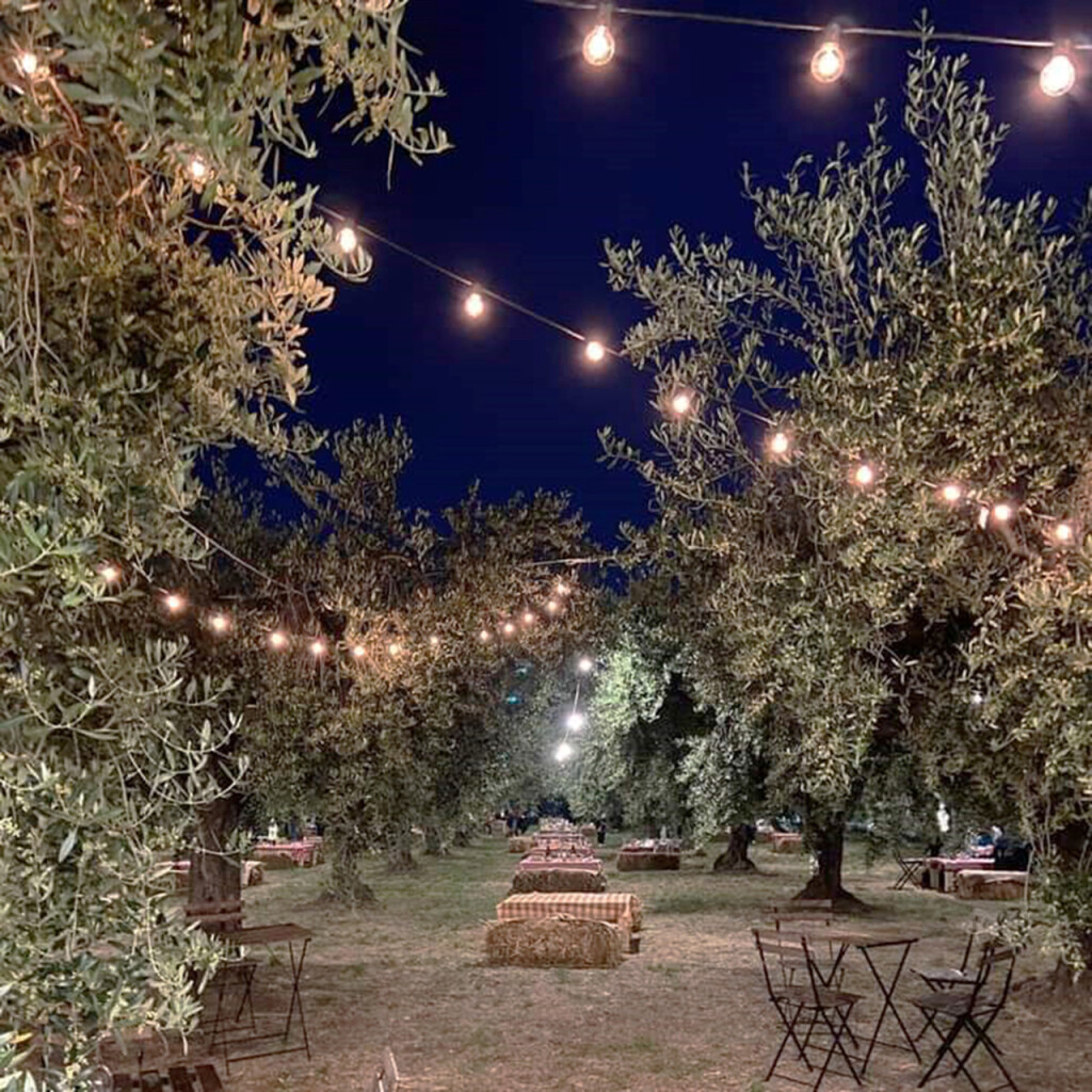 Moonlit Picnic Wine Experience at Azienda La Vinarte | Winetourism.com