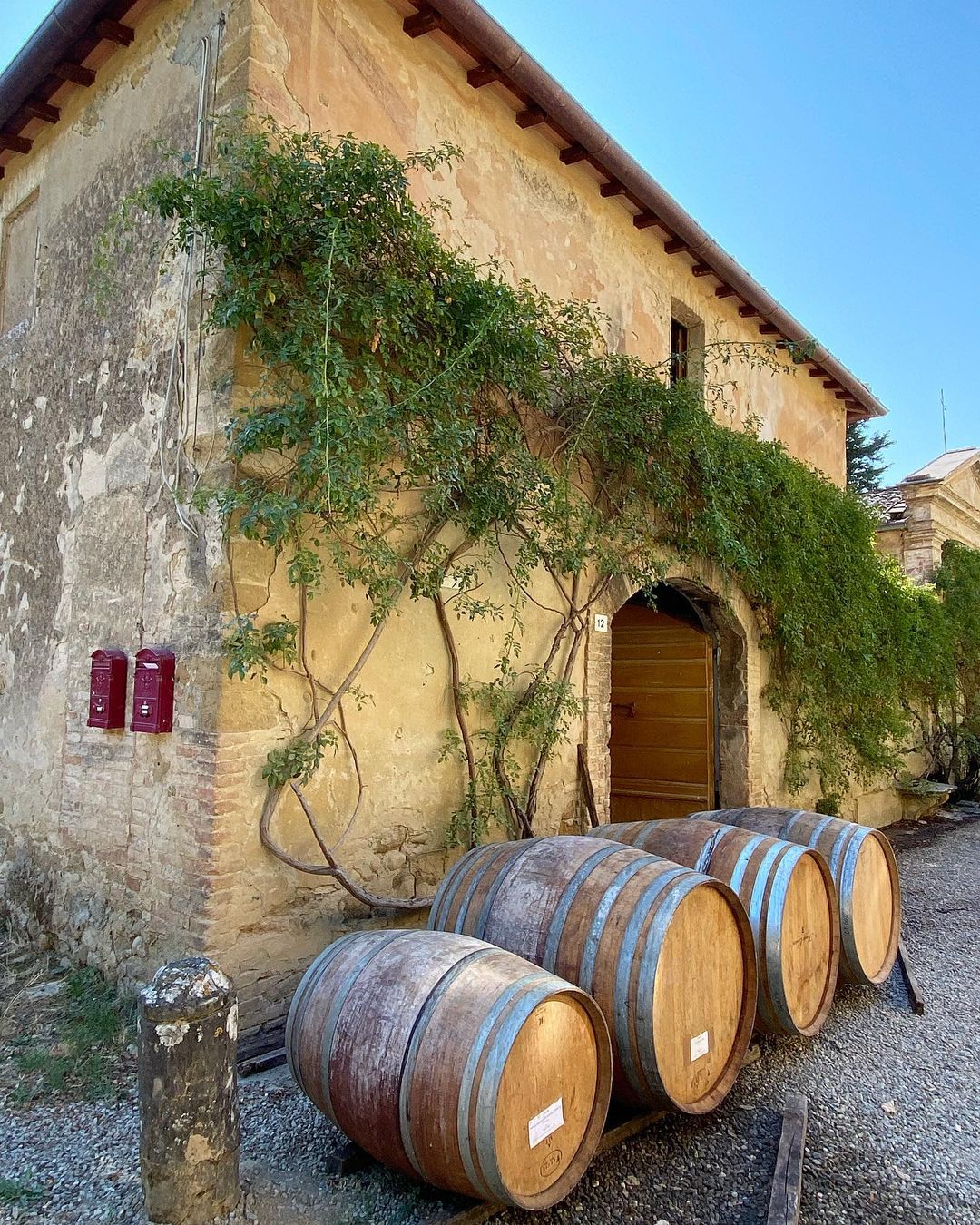 Tenuta Di Montechiaro - Winery in Tuscany | Winetourism.com